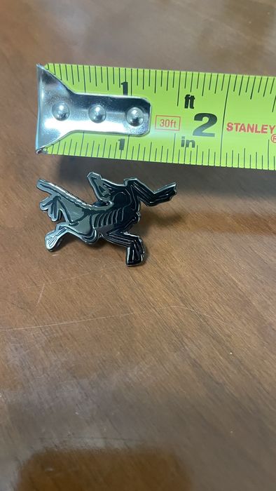 Arc'Teryx Arc’teryx Pin | Grailed
